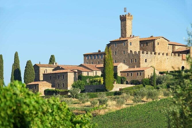 Private Tour and Wine Tasting at Castle-Wineries in Chianti from Florence - Returning to Florence
