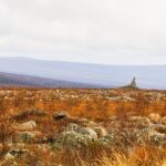 Private Tour Arctic Circle Expedition from Fairbanks - FAQ