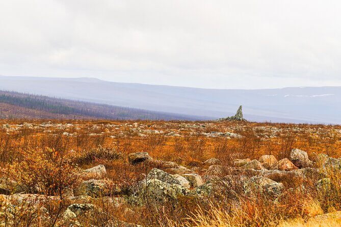 Private Tour Arctic Circle Expedition from Fairbanks - FAQ