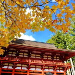 Private Tour at the Sacred Sites in Koyasan - Practical Details & Tips