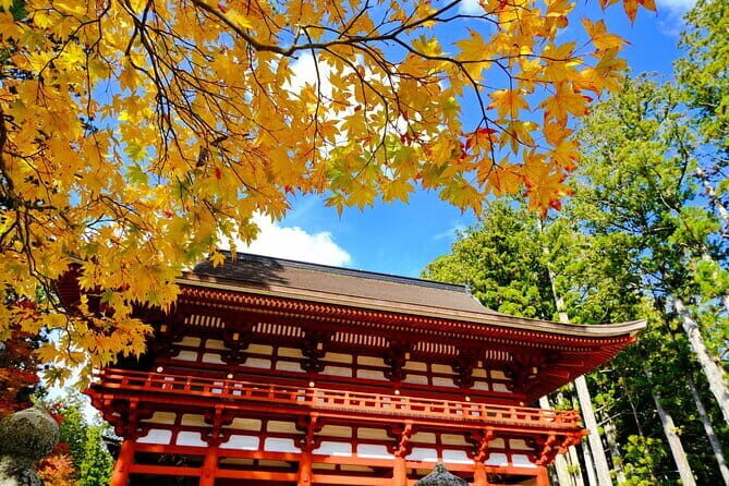 Private Tour at the Sacred Sites in Koyasan - Practical Details & Tips