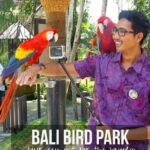 Private Tour Bali Bird Park And Ubud Tour - Authentic Experiences Matter