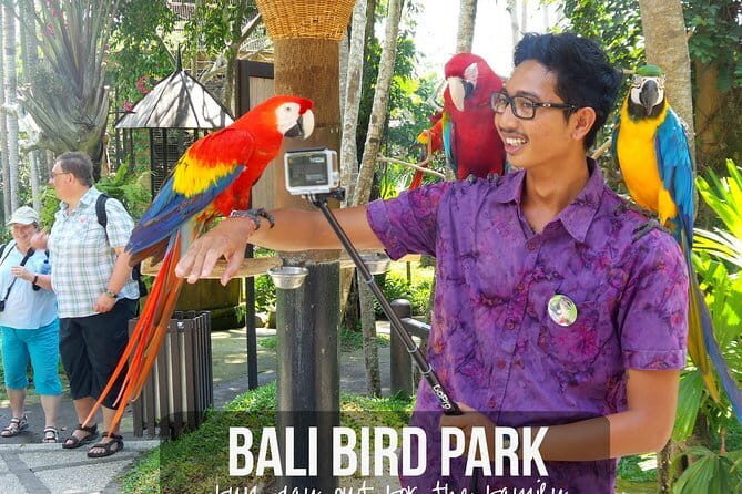 Private Tour Bali Bird Park And Ubud Tour - Authentic Experiences Matter