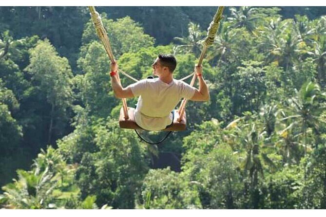 Private Tour Bali Swing & Visiting Temples in Bali - Why This Tour Offers Good Value for Money