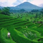 Private Tour - Bali UNESCO World Heritage Sites - The Sum Up: Who Is This Tour Best For?
