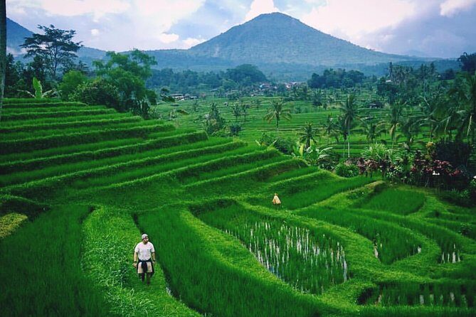 Private Tour - Bali UNESCO World Heritage Sites - The Sum Up: Who Is This Tour Best For?