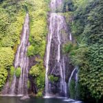 Private Tour Bayumala Waterfall And Rice Terrace UNESCO Site - Who Will Enjoy This Tour?