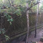 Private Tour: Beng Mealea Jungle Temple, Lolei and Bakong temple - Practical Aspects and What to Expect