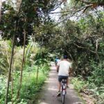 Private tour: Biking and Sightseeing tour In Cai Be, Mekong Delta - The Value and Practical Aspects