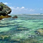 Private Tour: Blue Point Beach Tour with Uluwatu Temple - The Sum Up