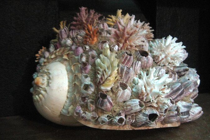 Private Tour: Bohol - 4 Days 3 nights - The Sum Up