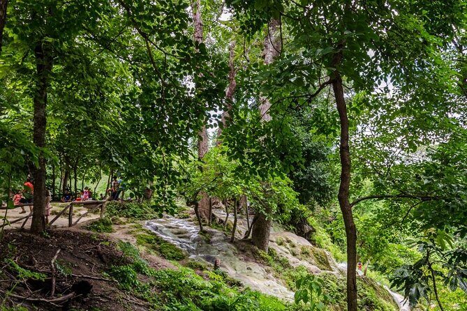 Private Tour: Bua Thong Sticky Waterfalls Tour - The Itinerary: What to Expect