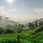 Private Tour : Cameron Highland Day Trip from Kuala Lumpur - Key Points
