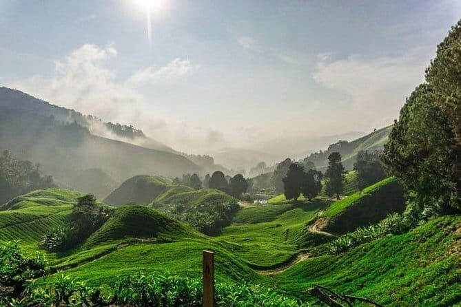 Private Tour : Cameron Highland Day Trip from Kuala Lumpur - Key Points