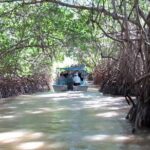 Private Tour: Celestun Biosphere Reserve by Yucatan Concierge - The Value and Practicalities