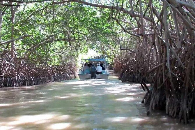 Private Tour: Celestun Biosphere Reserve by Yucatan Concierge - The Value and Practicalities