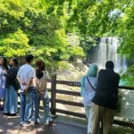 Private Tour Cheonjeyeon Falls & Spirited Garden in Jeju Island - Taking in Korean Culture at Osulloc Green Tea Museum