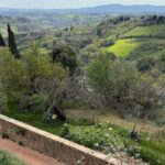 Private Tour- Chianti By Minivan At Sunset - Transportation, Group Size, and Practical Considerations