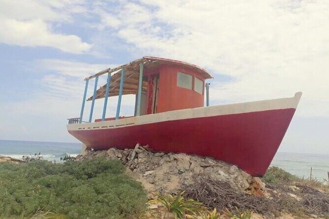 Private Tour Cozumel Buggy your way up to 4 People - Is This Tour Right for You?
