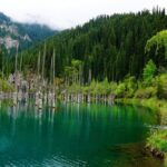 Private tour from Almaty Charyn canyon on Comfortable SUV - The Itinerary Breakdown: Why It Works