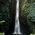 Private Tour from Leke-Leke Waterfall to Jatiluwih Rice Terrace - An In-Depth Look at the Tour Experience