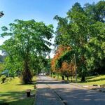 Private Tour: Full Day Center Penang Island Tour - An In-Depth Look at the Tour Itinerary