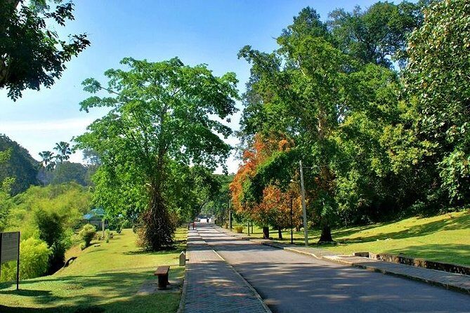 Private Tour: Full Day Center Penang Island Tour - An In-Depth Look at the Tour Itinerary