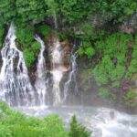 Private Tour: Full-Day Walking Tour with Professional Local Guide in Yakushima Island - What’s Included, What’s Not