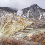 Private Tour - Hakone Day Trip! A Tour to Explore All Must-Sees! - Who Will Love This Tour?