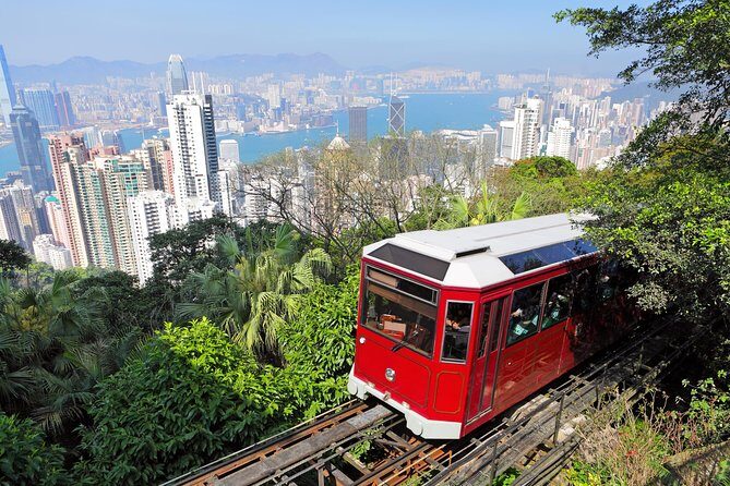 Private Tour: Half-Day Highlights Tour of Hong Kong Island - Who Is This Tour Best For?