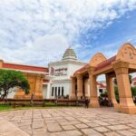 Private Tour: HERO Rats & Angkor National Museum - What You Get and Why It Matters