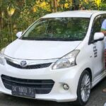 Private Tour Highlight of Bedugul and Jatiluwih Rice Terrace - An In-Depth Look at This Bali Adventure