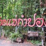 Private Tour in Chiang Mai Village Experience Nature - Discovering Mae Kam Pong Waterfall