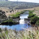 Private Tour in Horton Plains National Park ( World's End) with Pickup - The Bottom Line