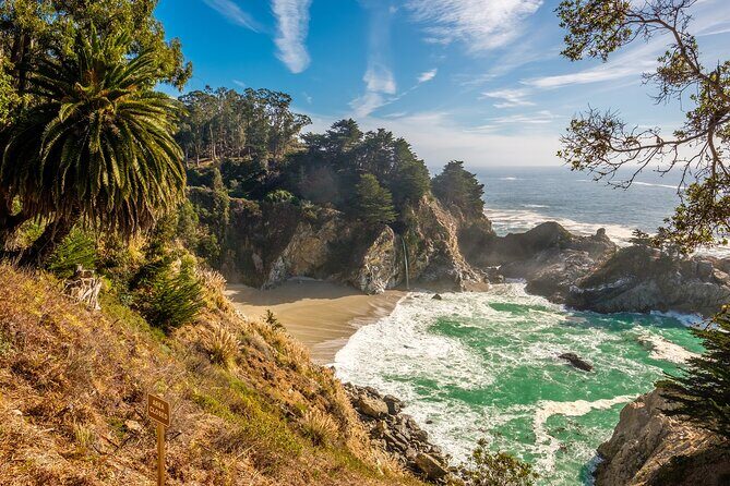 Private Tour in Monterey and Big Sur Discovery from San Jose - Transportation and Overall Experience