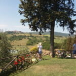 Private Tour in San Gimignano and Chianti Day Trip from Florence - What’s Included and What to Expect
