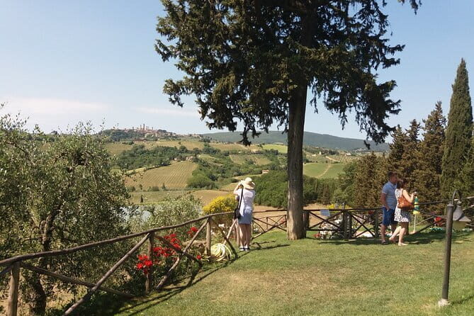 Private Tour in San Gimignano and Chianti Day Trip from Florence - What’s Included and What to Expect