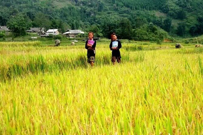 Private Tour in the Tribal Villages of Vietnam - Transportation, Price, and Practical Aspects