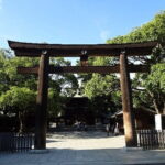 Private Tour in Tokyo with Shopping - Who Will Appreciate This Tour Most?