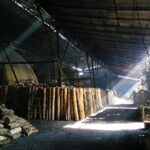 Private Tour: Ipoh Secrets Taiping Heritage & Orang Utan Island - Who Will Love This Tour?