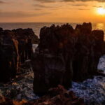 Private Tour : Izu Peninsula Day Trip with Cable Car Ride - Final Thoughts