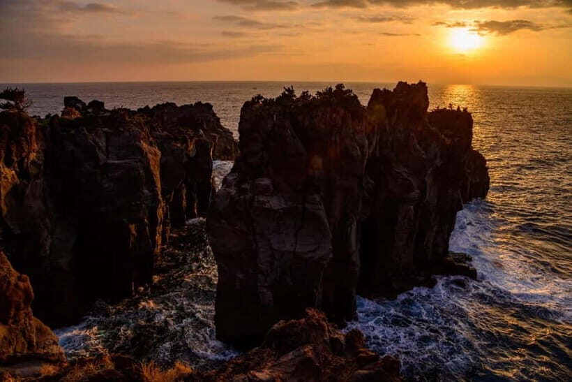 Private Tour : Izu Peninsula Day Trip with Cable Car Ride - Final Thoughts