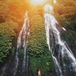 Private Tour: Jatiluwih Rice Terrace,Ulun danu and Banyu Mala Waterfall Tour - What You Can Expect from the Itinerary