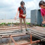 Private tour : Mekong Delta Rural Life - In Touch With Locals - Crossing to the Island: A Crossroads of Tradition