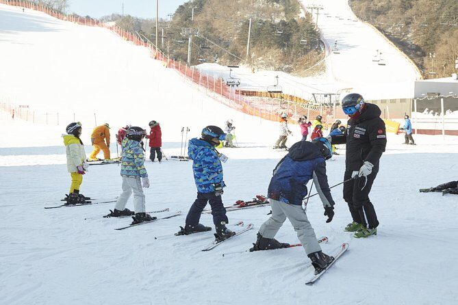 [Private Tour] Nami Island & Ski (Ski Lesson, Equip & Clothing Included) - FAQs