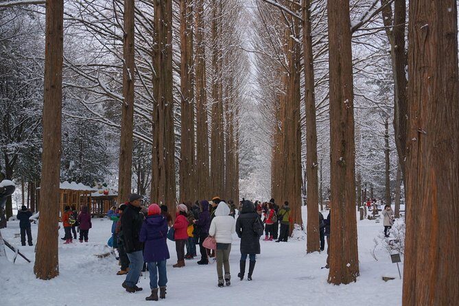 Private Tour Nami Island with Petite France 'and/or' The Garden of Morning Calm - Detailed Breakdown of the Experience