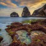 Private Tour: Nusa Penida DiamondBeach-Tree House EastSide Island - What’s Included & What to Consider