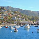 Private Tour of Avalon from Catalina Island - Is This Tour Right for You?