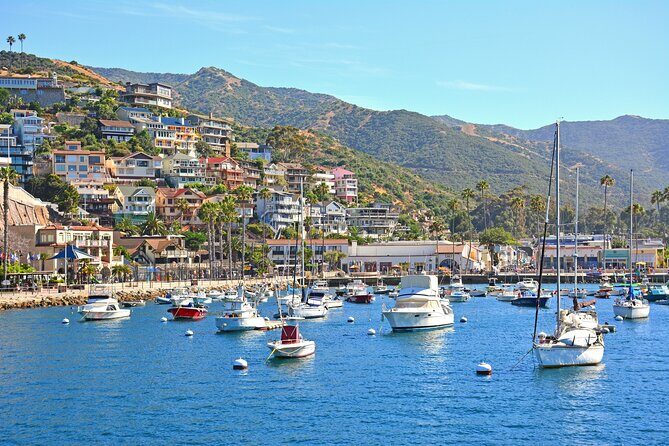Private Tour of Avalon from Catalina Island - Is This Tour Right for You?