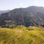 Private Tour of Dragon's Backbone Rice Terraces in Longsheng - Cultural Encounters with Zhuang and Yao Communities